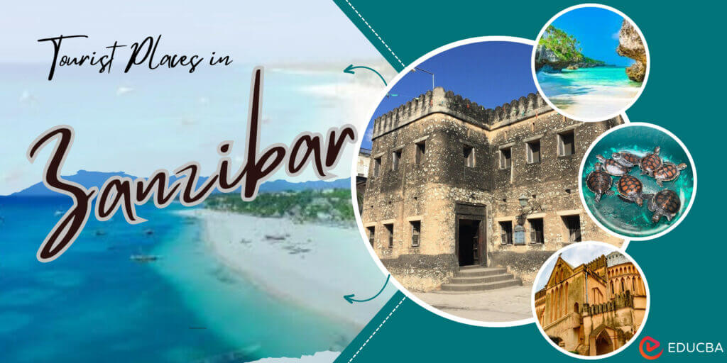 Tourist Places in Zanzibar: Your Gateway to Exotic Beauty