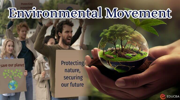 Environmental Movement: A Global Conservation Effort