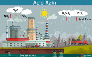 Essay on Acid Rain (2000 Words): Causes, Effects & Solutions