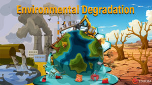 Essay on Environmental Degradation: Causes, Solutions