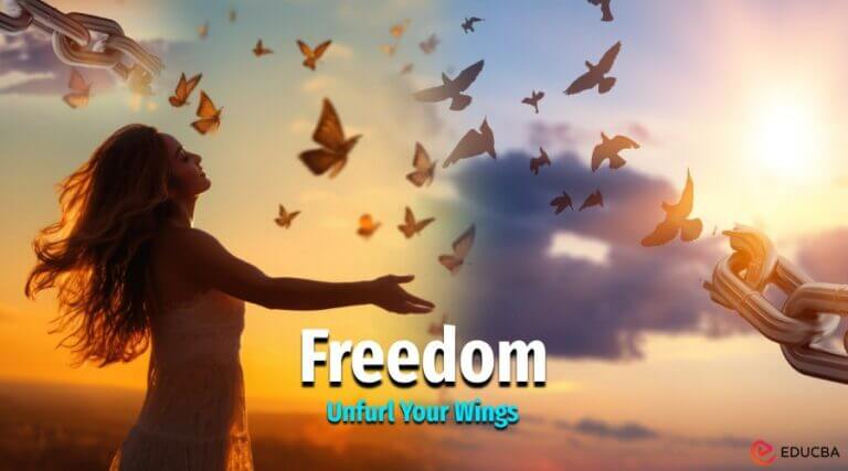 Essay on Freedom (3500 Words): Expert Writing Advice