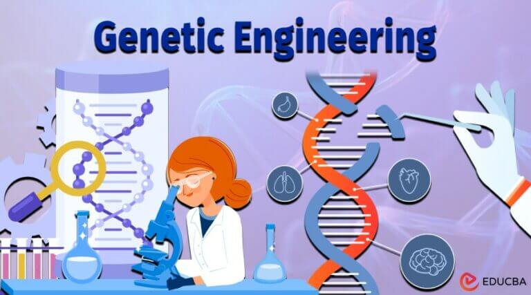 Essay on Genetic Engineering: Unlocking Human Potential