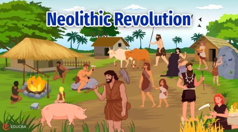 Neolithic Revolution: Causes | Timeline | Changed the World