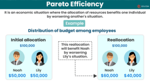 Pareto Efficiency - What Is It? Working, Application & Limitation