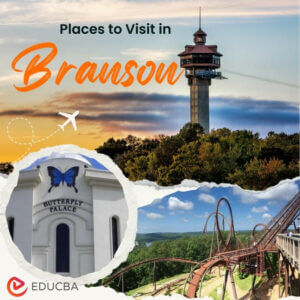 Places to Visit in Branson: The Fun Trip To Branson Await