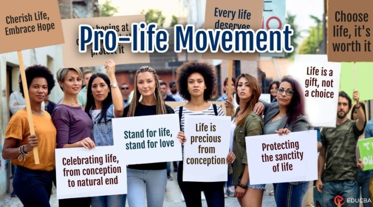Pro Life Movement: Advocating Globally for Human Dignity