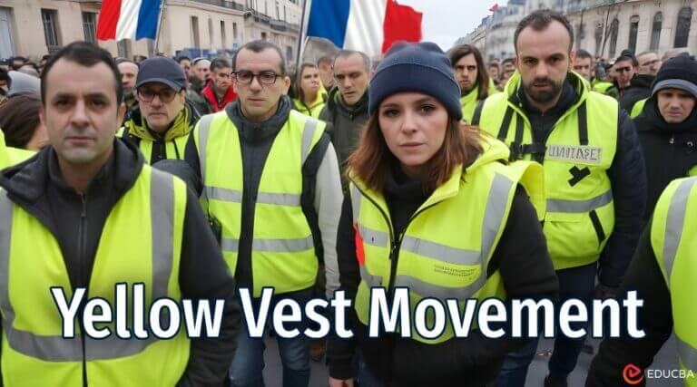 Yellow Vest Movement- Its Origin, Demands and Effects