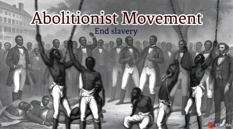 Abolitionist Movement- Fascinating Journey (2600 Words)