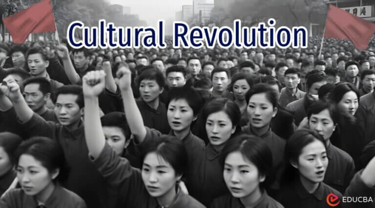 Cultural Revolution: Its Origins, Impact and Legacy