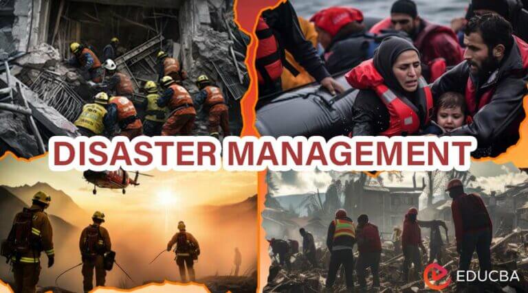 Essay on Disaster Management: Importance and Strategies