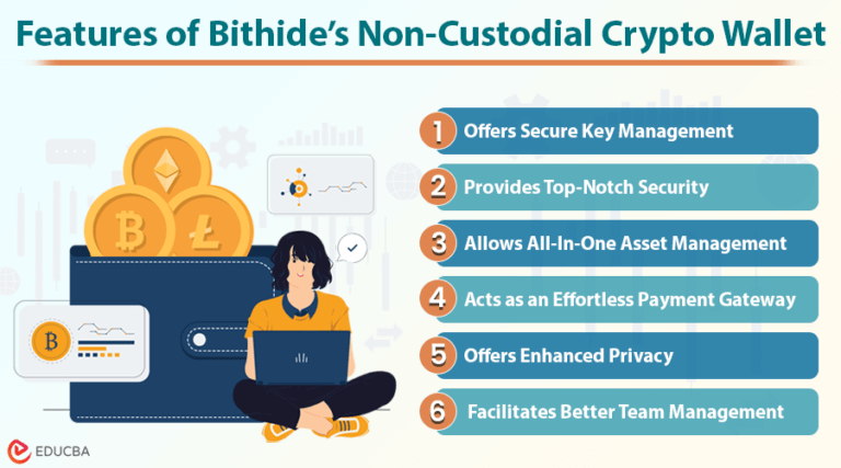 Bithide’s Non-Custodial Crypto Wallet | Top 6 Features
