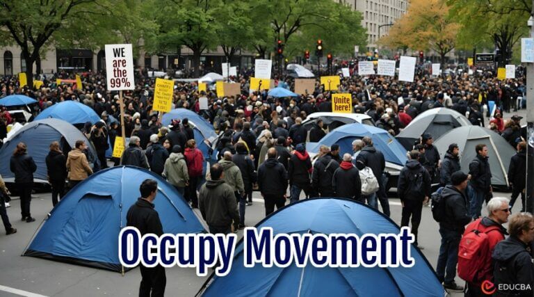 Occupy Movement: Origins | Principles | Actions | Legacy