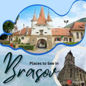 Must-Visit Places to See in Brasov For A Beautiful Vacation