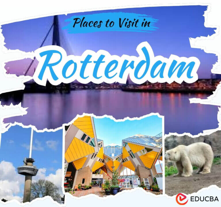 The Best Places to Visit in Rotterdam: A Top N List