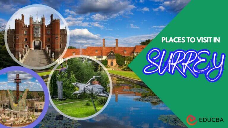 Surrey City Guide: Top 18 Things to Do & Places to Visit