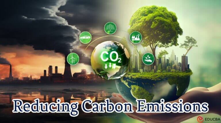 Reducing Carbon Emissions: Cutting-Edge Ways to Reduce CO2 Levels