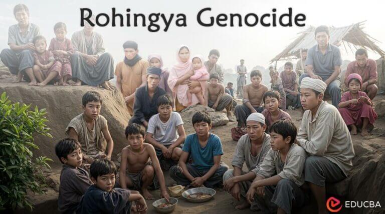 Rohingya Genocide - Myanmar Atrocities | Human Rights