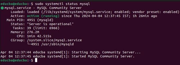 Step-by-step Guide to Install MySQL Workbench on Ubuntu