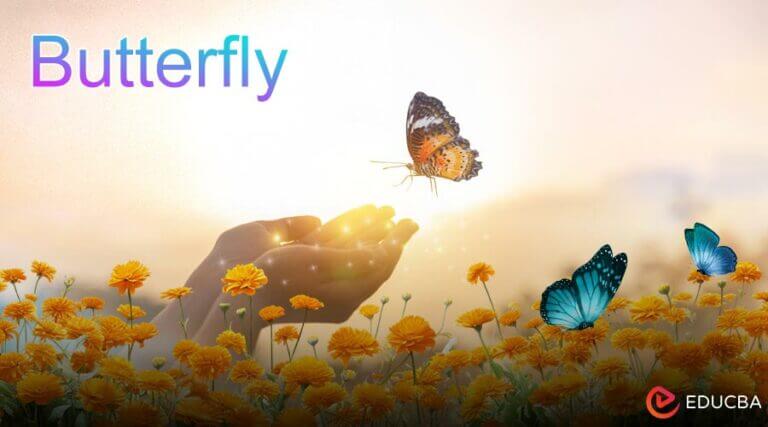 Essay on Butterfly: Life Cycle and Behavior of Butterflies