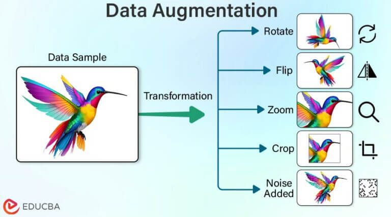 What is Data Augmentation and How Does it Work?