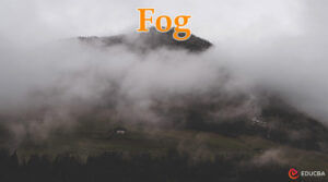 Essay on Fog (2000 Words): Definition, Types and Effects