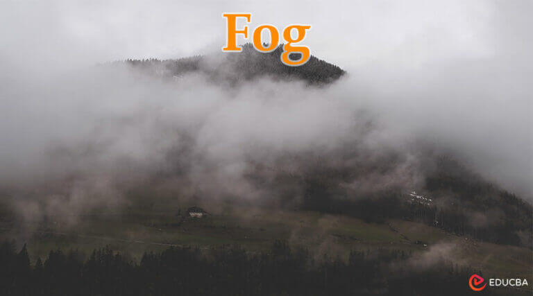 Essay on Fog (2000 Words): Definition, Types and Effects