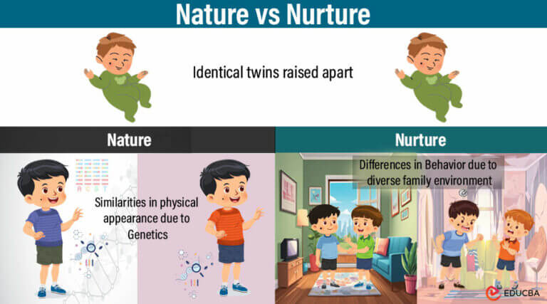 Essay on Nature vs Nurture (2110 Words): Students & Kids