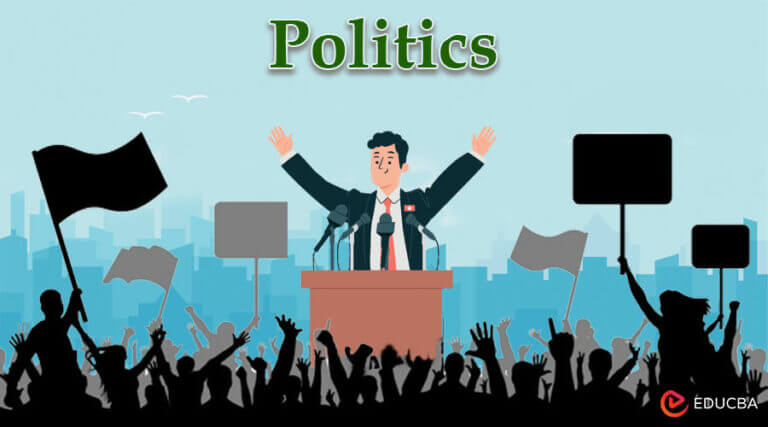 Essay on Politics: Analyzing Political Strategies and Tactics