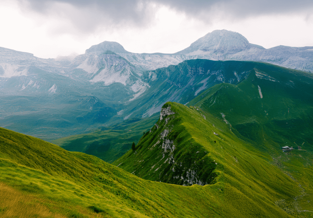 How to Use Photoshop Generative Fill? (Generate Background, Add Objects)