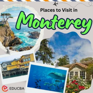 Top Best Places to Visit in Monterey for First-time Visitors