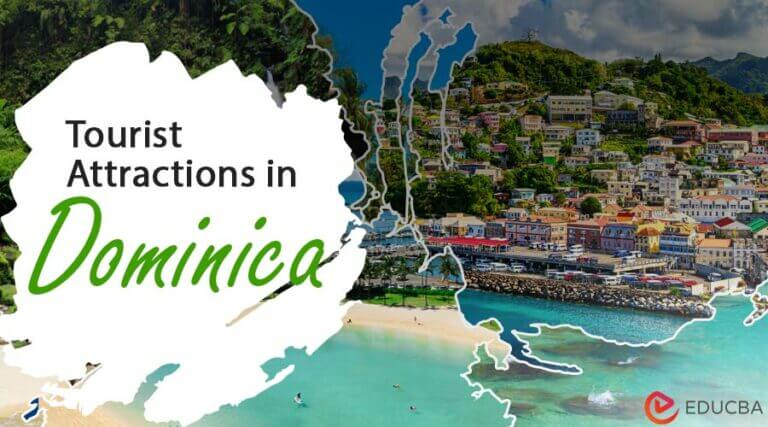 Top 18 Tourist Attractions in Dominica For A Joyful Trip