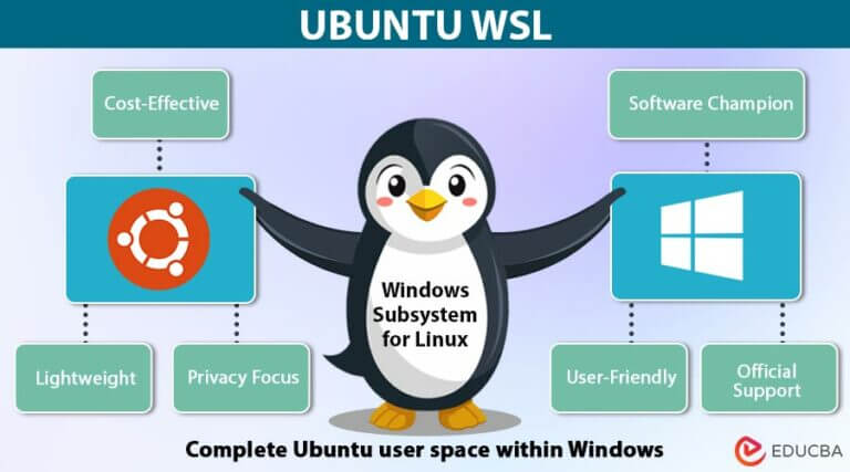 Ubuntu WSL: Windows Files, Programs and Installation