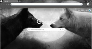 Chrome Web Store- How to open & install extensions