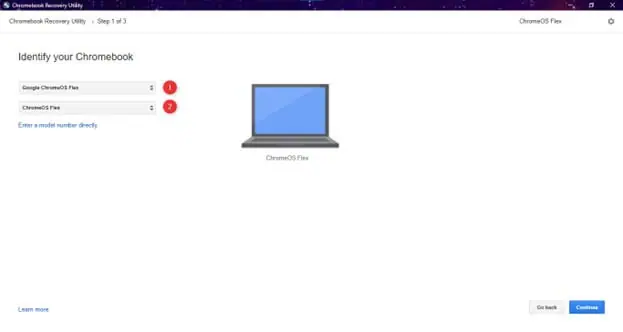 Installation Setup for ChromeOS Flex (USB Installer)