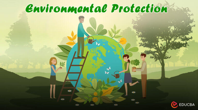 Essay on Environmental Protection: Policies & Innovations