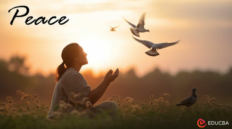 Essay on Peace (2234 Words): Harmony and Respect