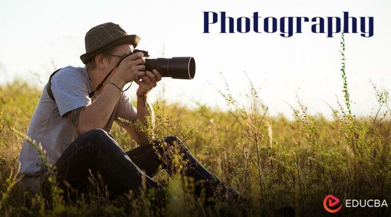 Essay on Photography: Capturing Moments Through Lenses