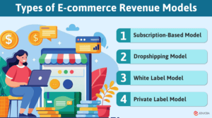 11 Types of E-commerce Models (Business + Revenue) | How to Choose?