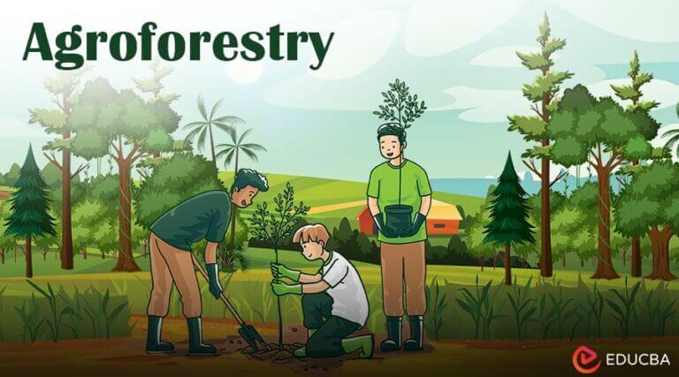 Agroforestry- Integrating Trees for Sustainable Development