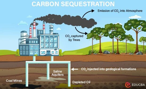 Carbon Sequestration- Strategies for Climate Mitigation