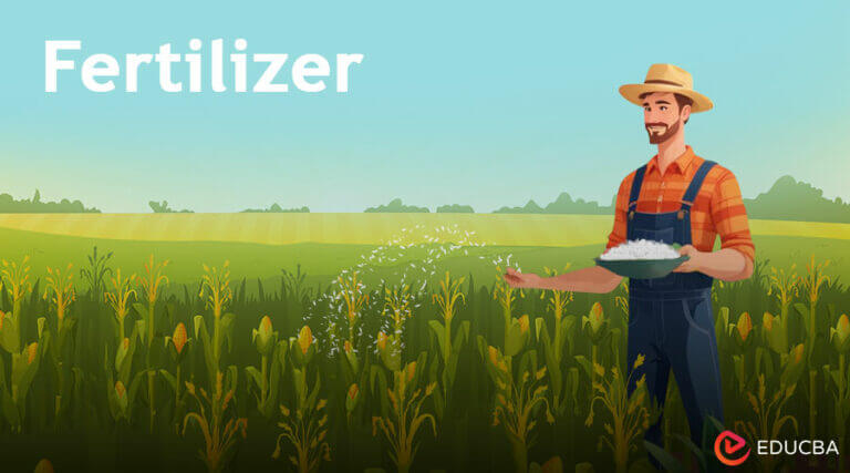 What is Fertilizer? Understanding the Impact on Agriculture