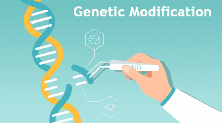 Genetic Modification: Techniques, Applications & Benefits
