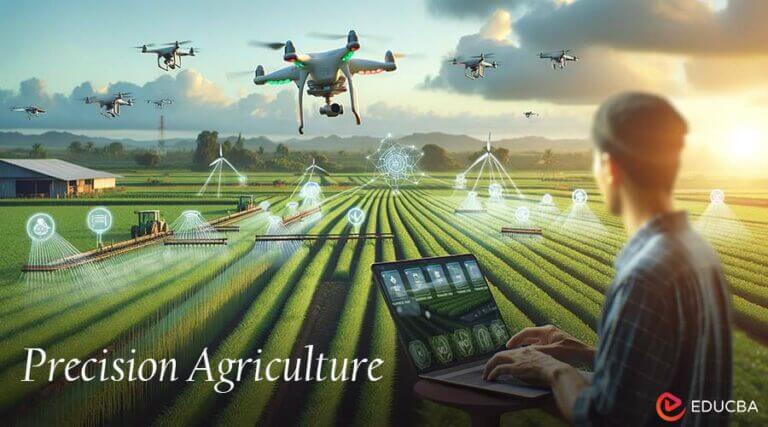 What is Precision Agriculture? Enhance Farming Efficiency