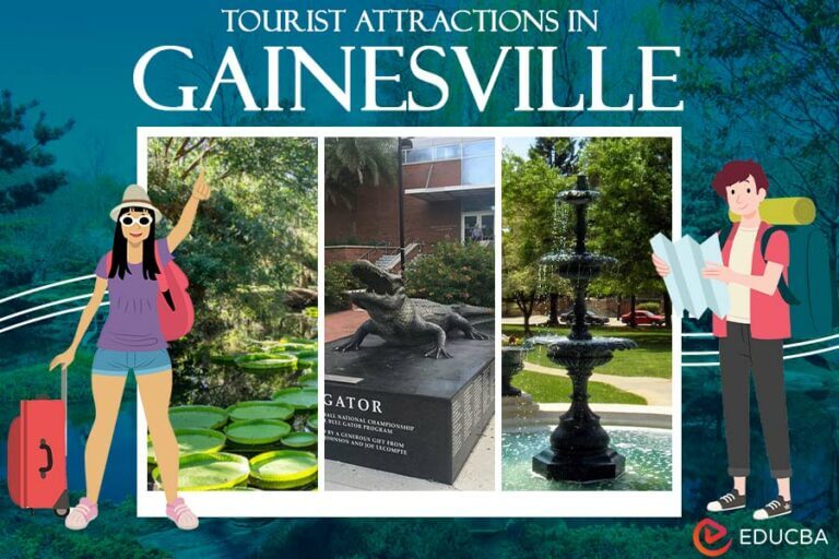 Planning Your Trip to Gainesville: A Guide to Key Attractions