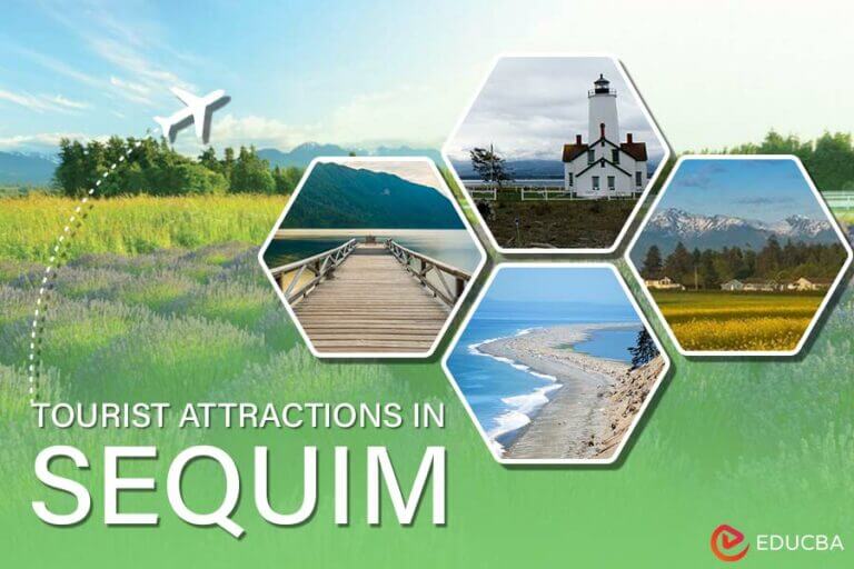Top 18 New Tourist Attractions in Sequim: Tell-Tale Signs