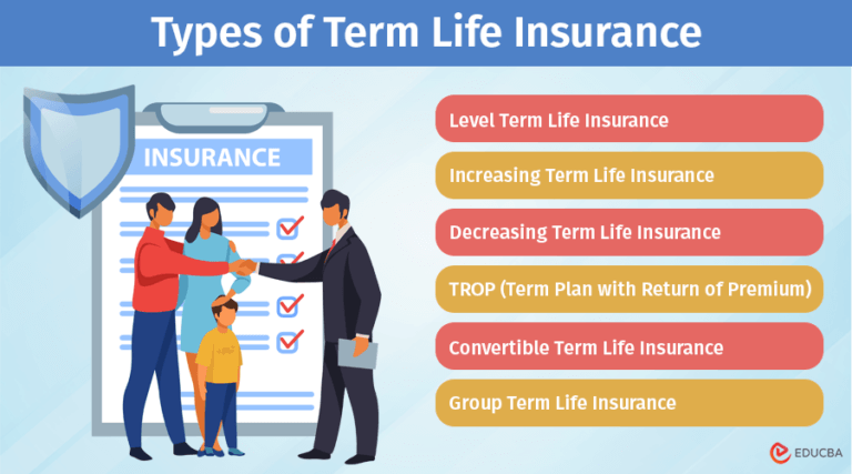 6 Types of Term Life Insurance in India | How to Choose?