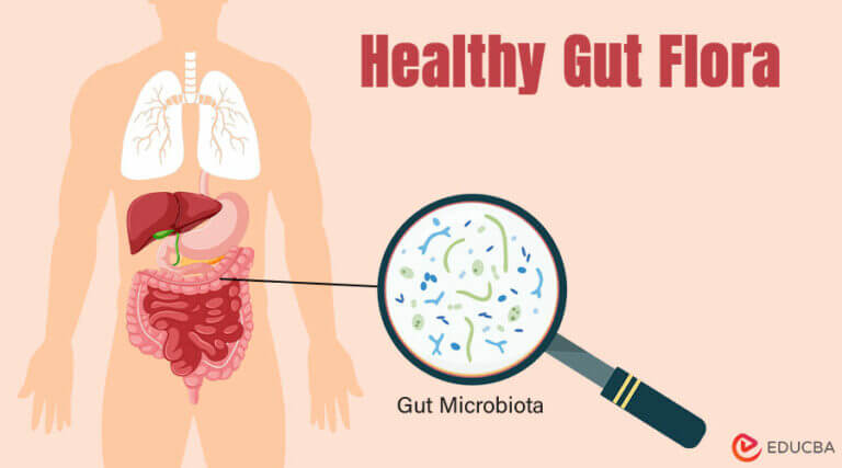 Healthy Gut flora- How to Improve (Boost Overall Well-being)
