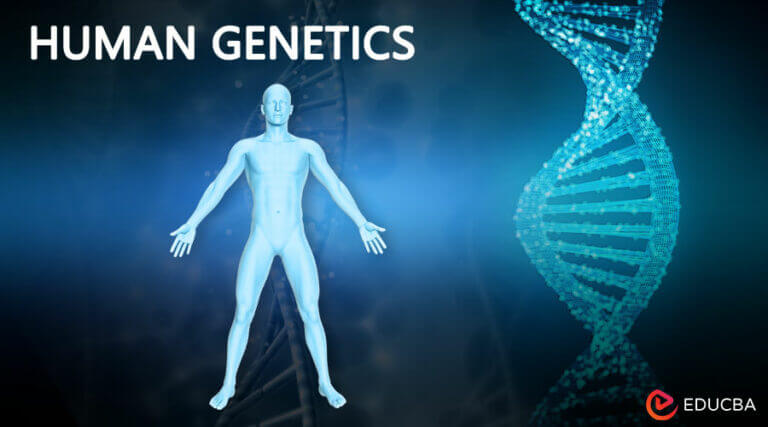 Human Genetics: Meaning, Project, Epigenetics and Future