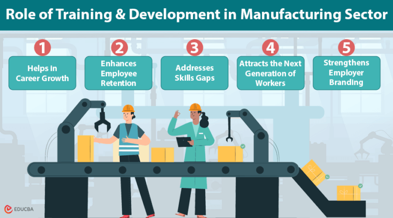 Role of Training and Development in Manufacturing Sector