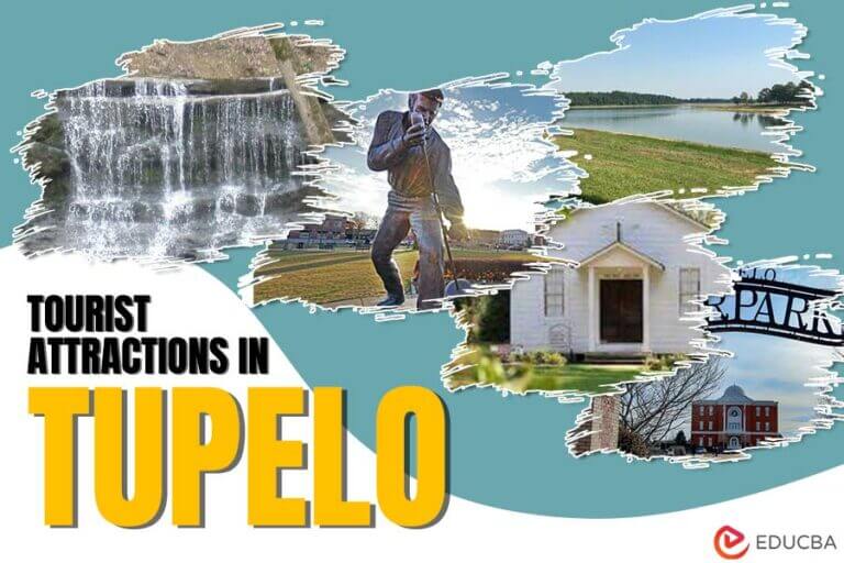 Fun Things to Do in Tupelo on Your Next Trip for 2024